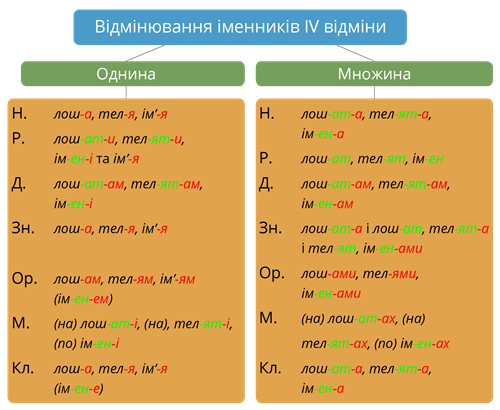 Відмінювання іменників Іv відміни — урок Українська мова 6 клас